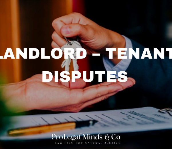 ProLegalMinds – A Law firm with a human touch