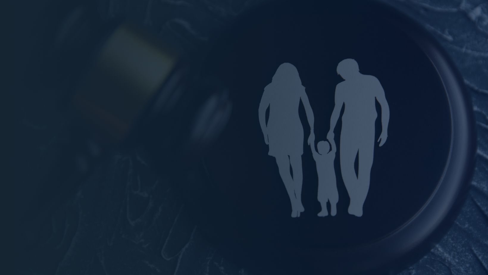 ProLegalMinds – A Law firm with a human touch